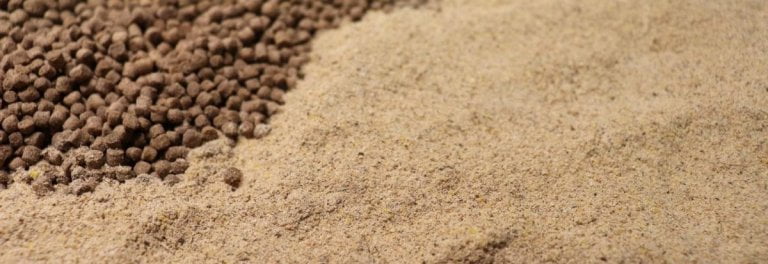 Small Scale 500KG/H Fish Food Processing Line Project Design