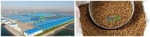 CE 1.5-2T/H Commercial Extruder Machine For Fish Feed