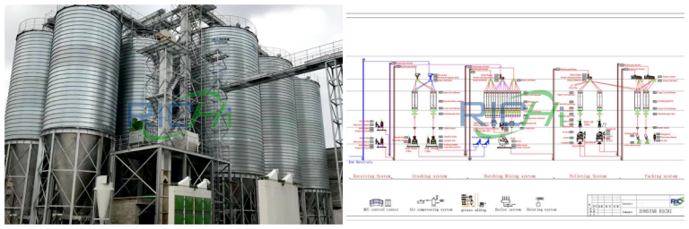 Customizable 1-60 T/H Sinking Fish Feed Processing Line Solution