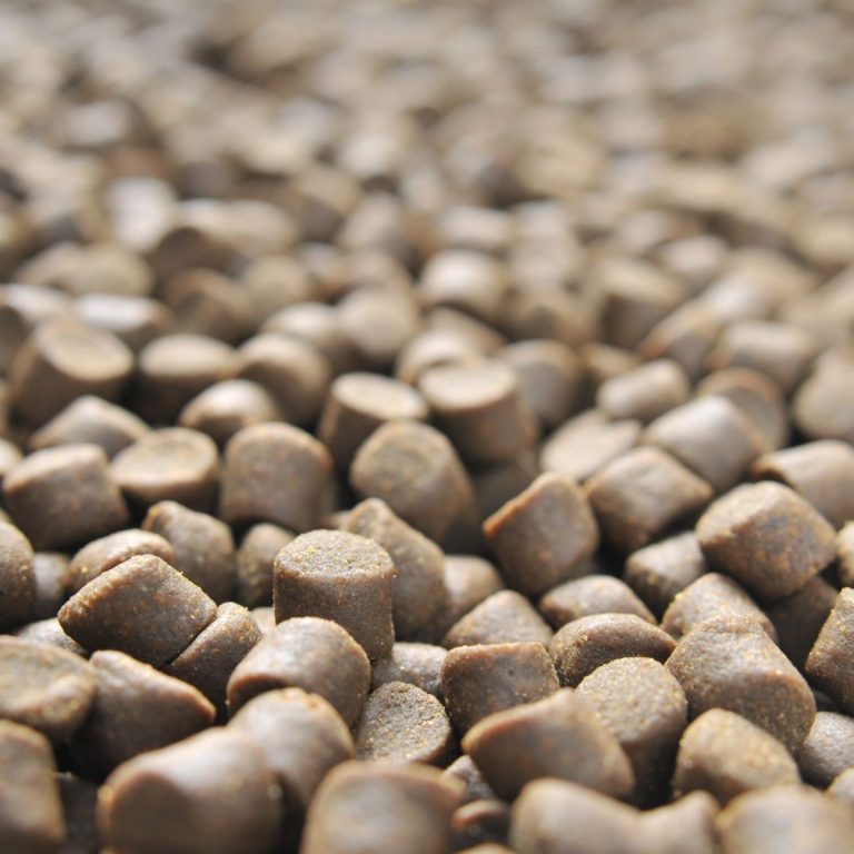 10-12T/H Commercial Large Floating Fish Pellet Machine For Sale